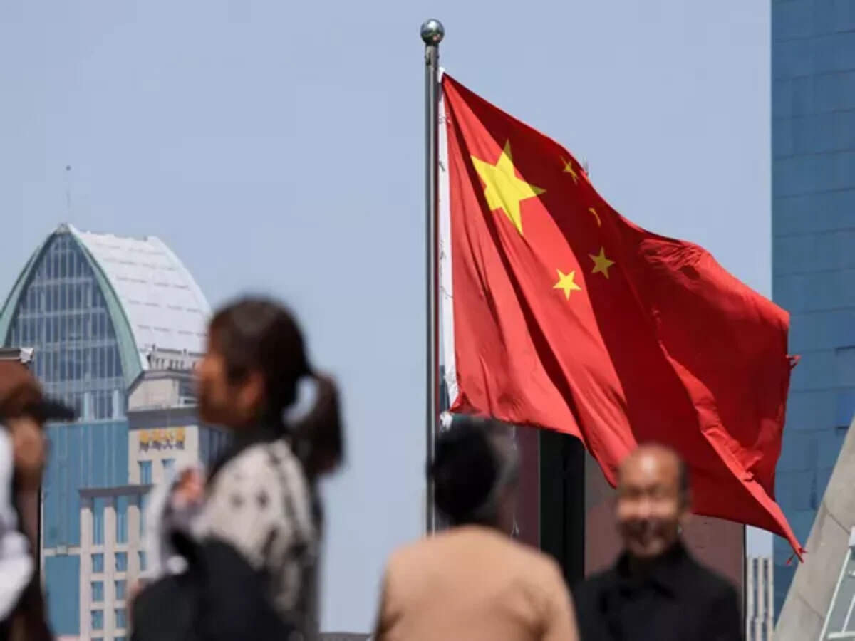 China's Ministry of State Security warns 'spy turtles' are fishing for ...