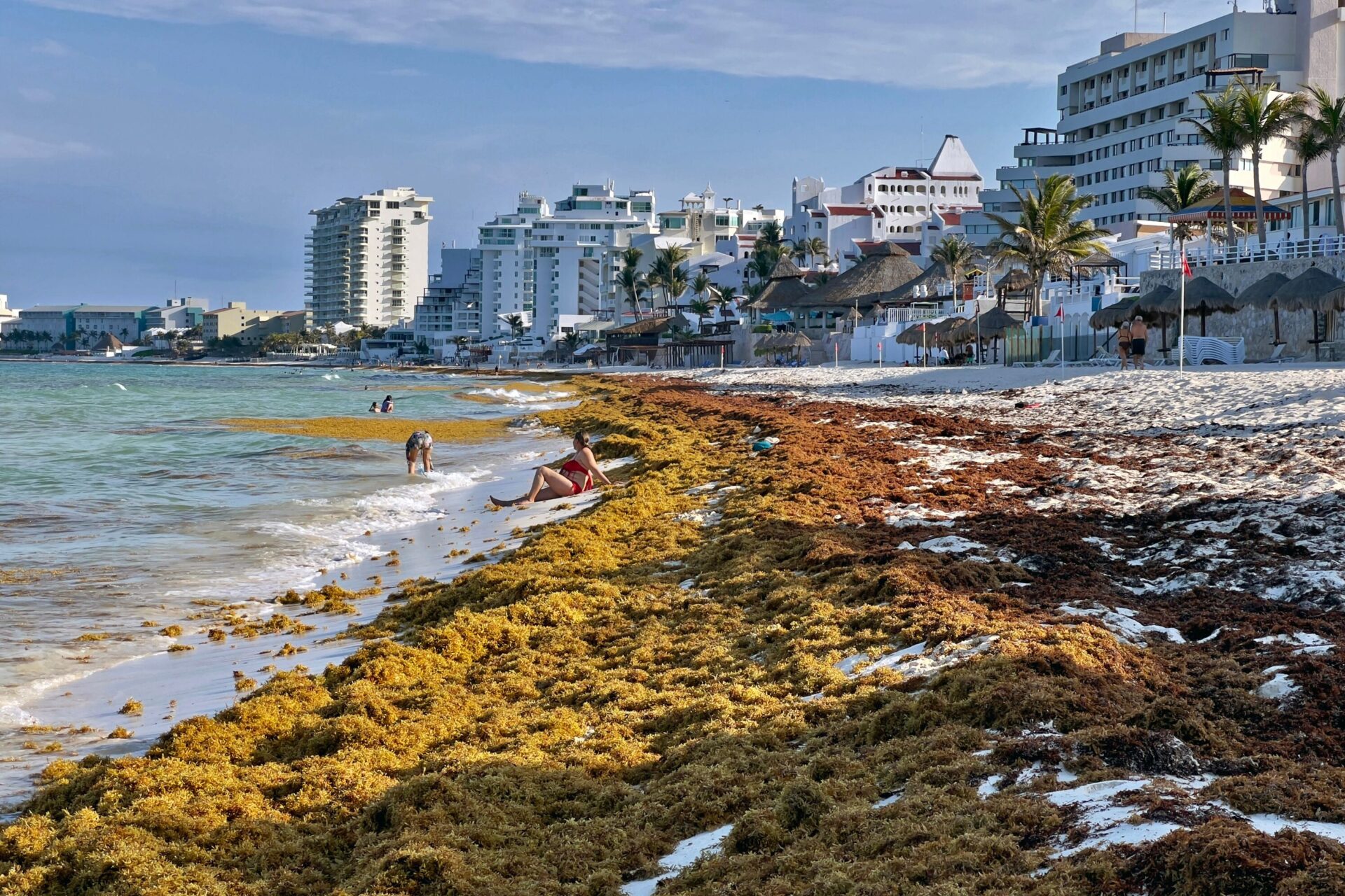 This giant floating algae bloom is growing out of control