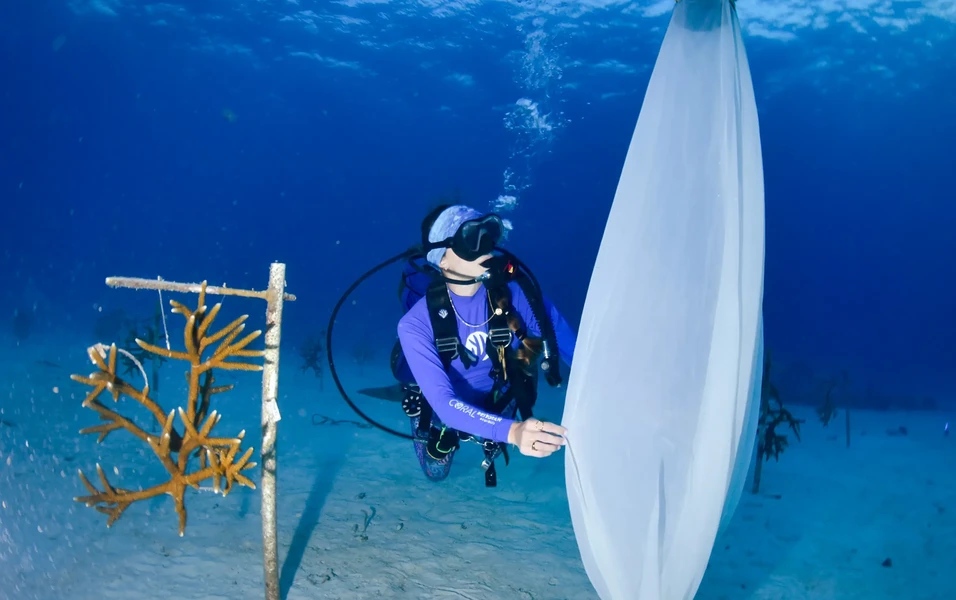 Florida conservation model praised for science-based results