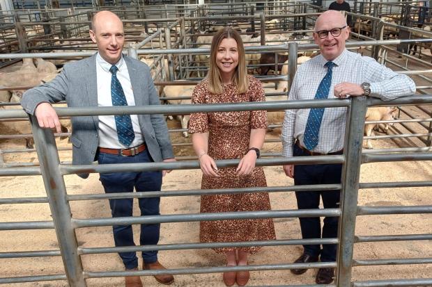 Carlisle firm H&H Group brings businesses under one brand