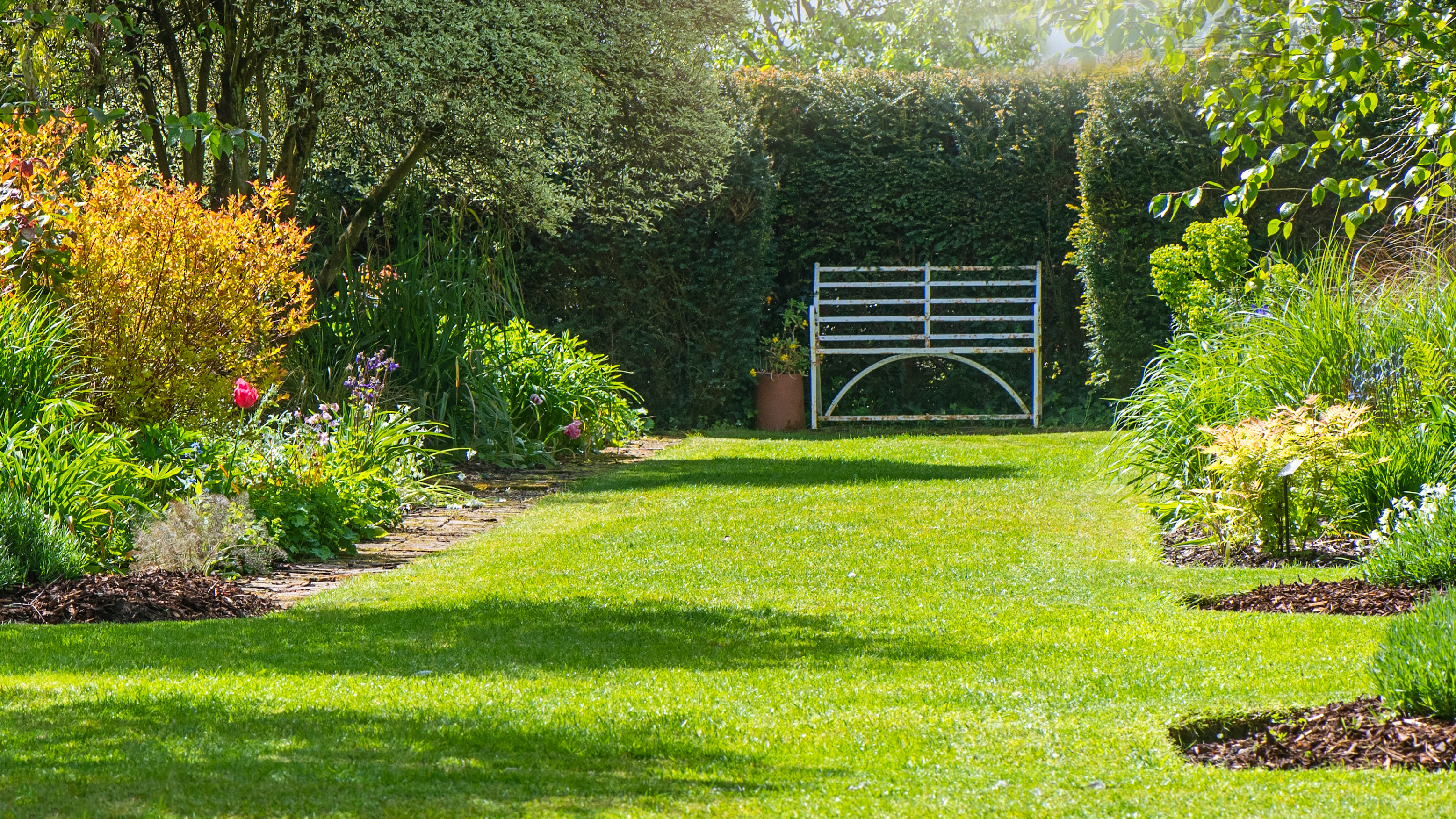 Summer lawn care, growing a wildflower patch in your garden and more ...