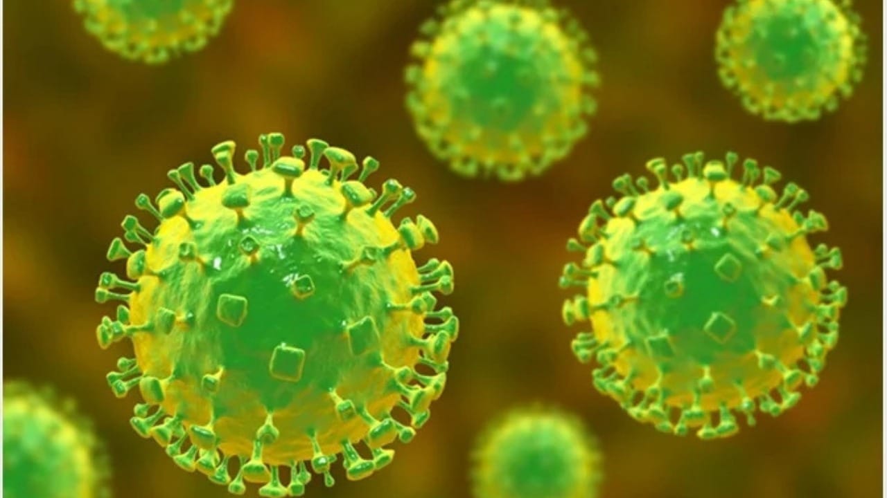Nipah virus scare in Kerala: Kozhikode man critical, NIV test result ...