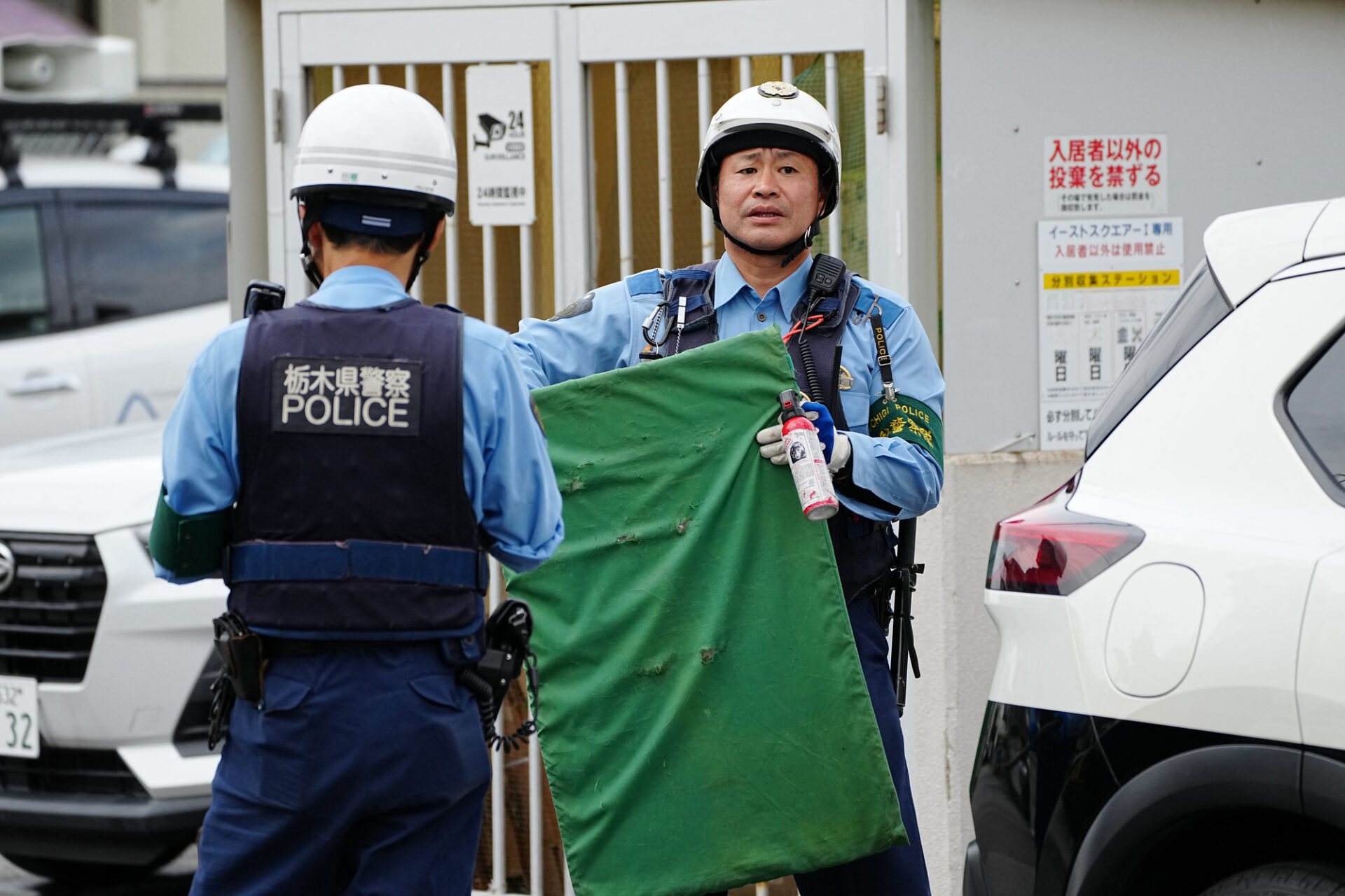 Alarm in Japan: zwarte beren duiken steeds vaker op bij woonwijken