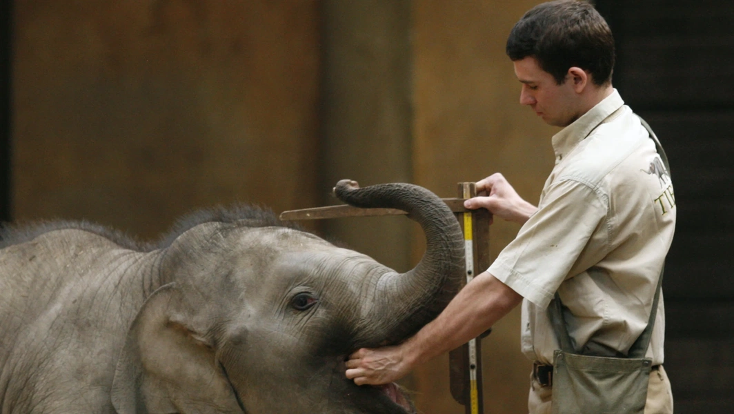23 dream jobs that are tougher than they look