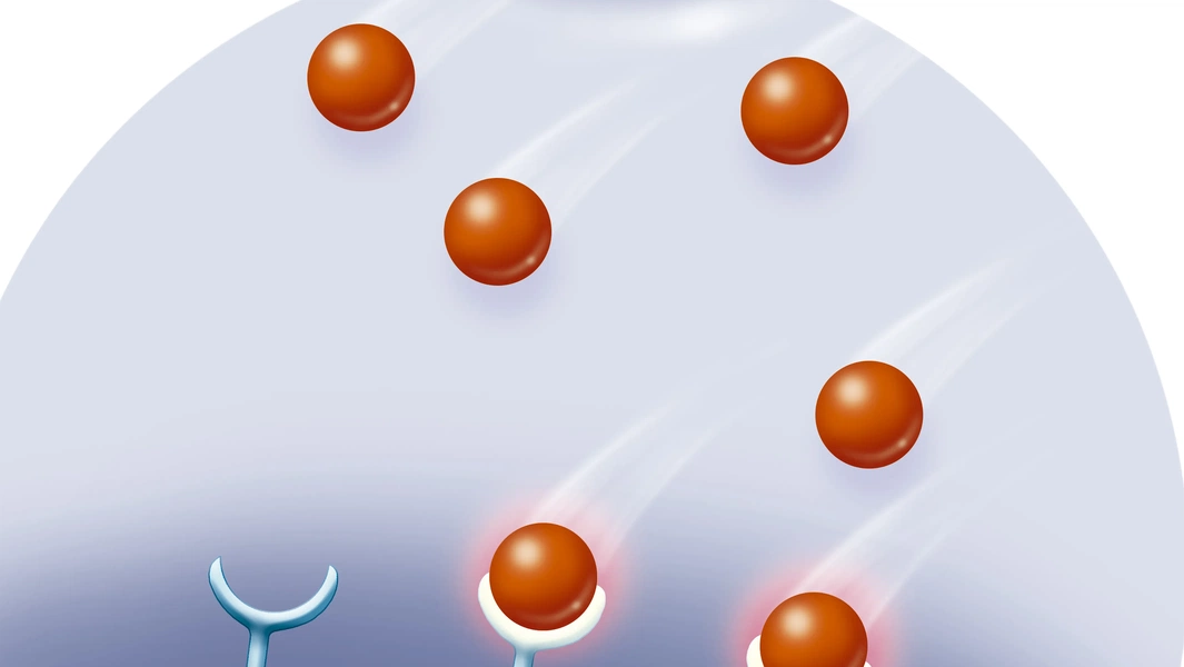 Vitamin D, toxicity, and kidney health