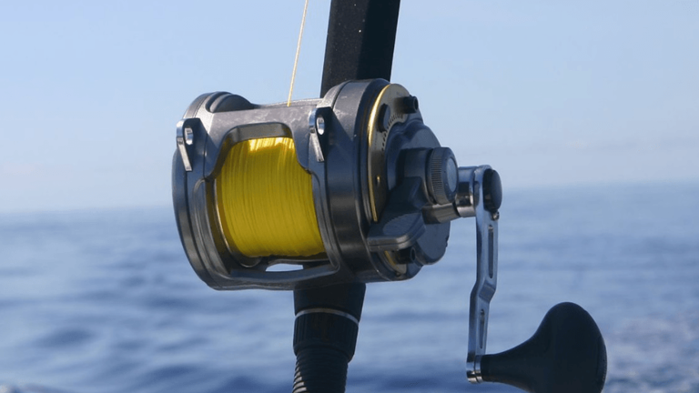 Bassmaster Elite Series returns to Elizabeth City