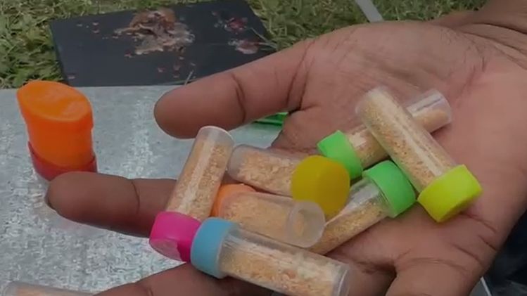 Assam's Sivasagar police continue anti-drug crackdown, one peddler ...