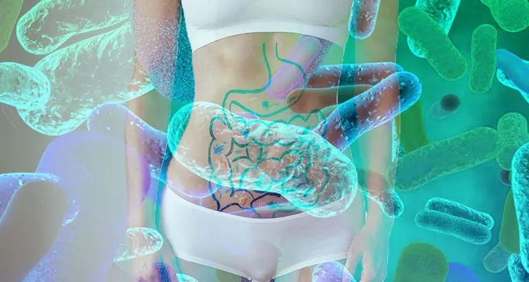 El descubrimiento sobre la microbiota intestinal que explica por qué ...