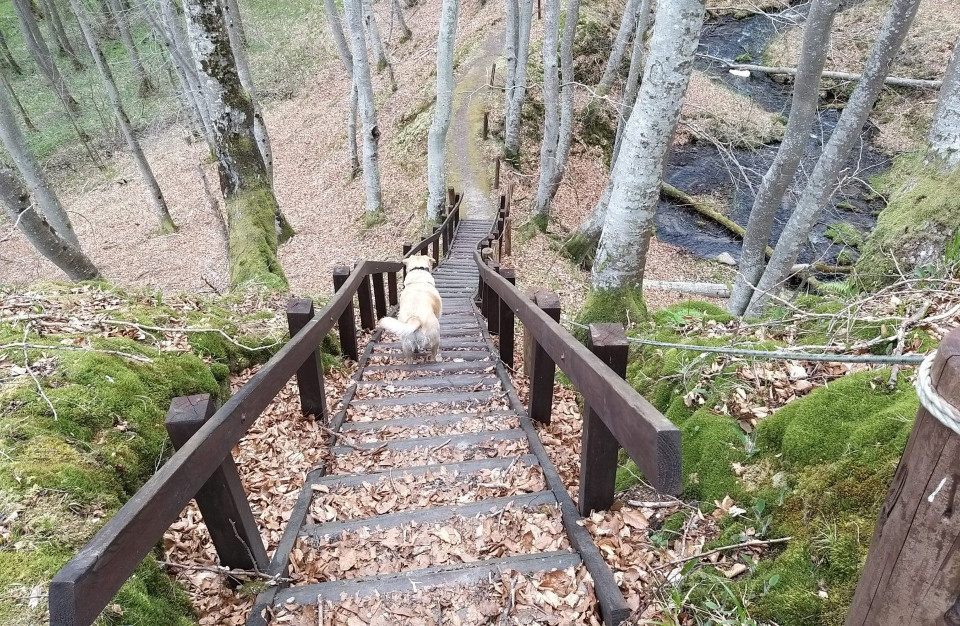 W sobotę spacer Doliną Huczki. Zaprasza Park Krajobrazowy „Dolina Słupi”