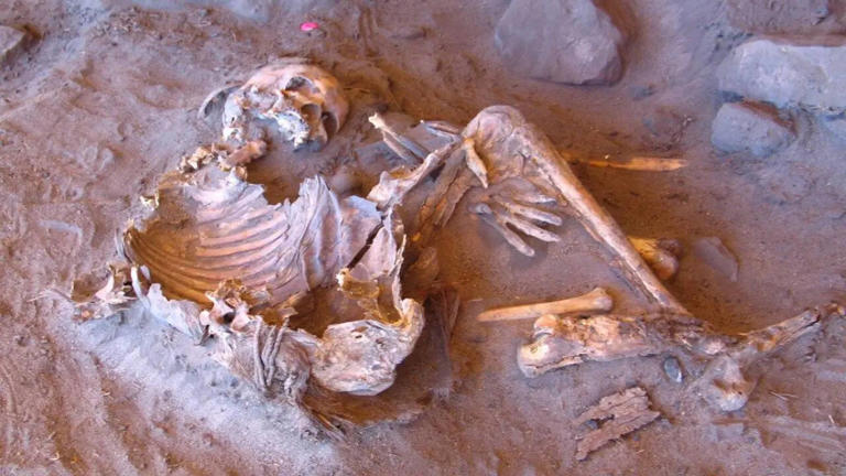 7,000-year-old mummy DNA reveals a lost human lineage hidden in the ...