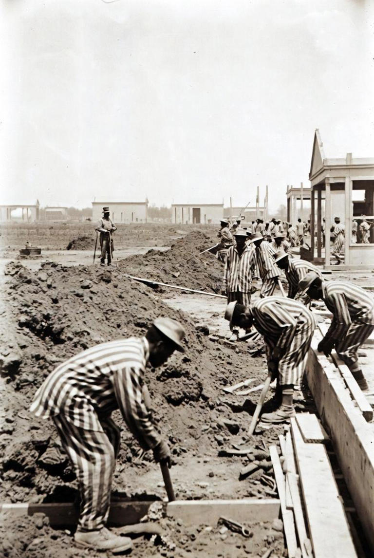 Educated slavery: How black hands still built white colleges ...