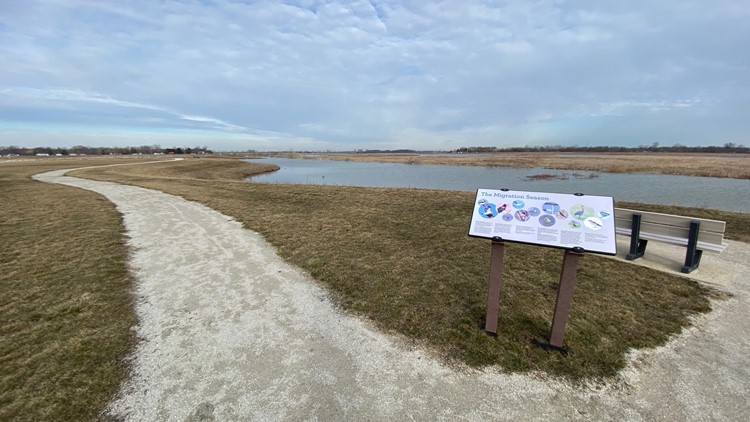 Metroparks Toledo puts out survey for proposed improvements at Howard Marsh