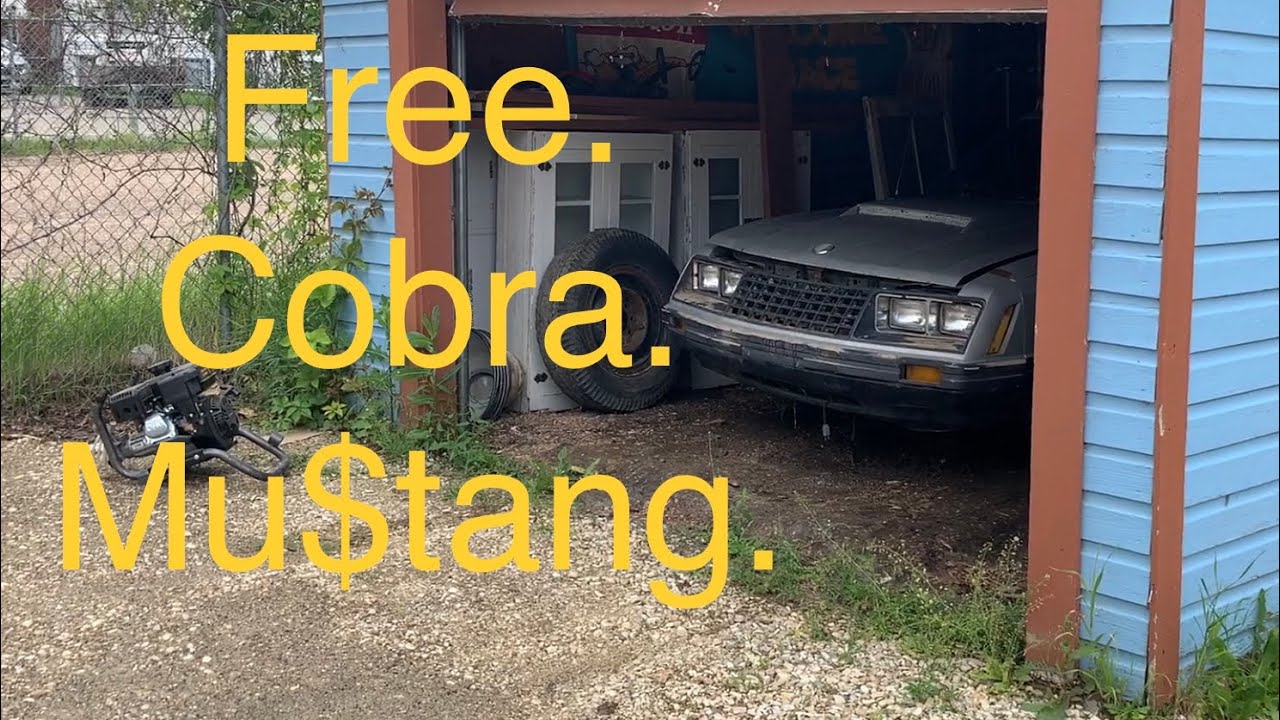 Giving away a Cobra Mustang to a father and son