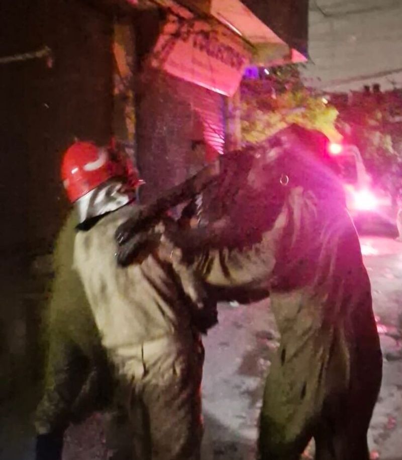 3 killed, 2 critical as fire engulfs residential building in southeast ...