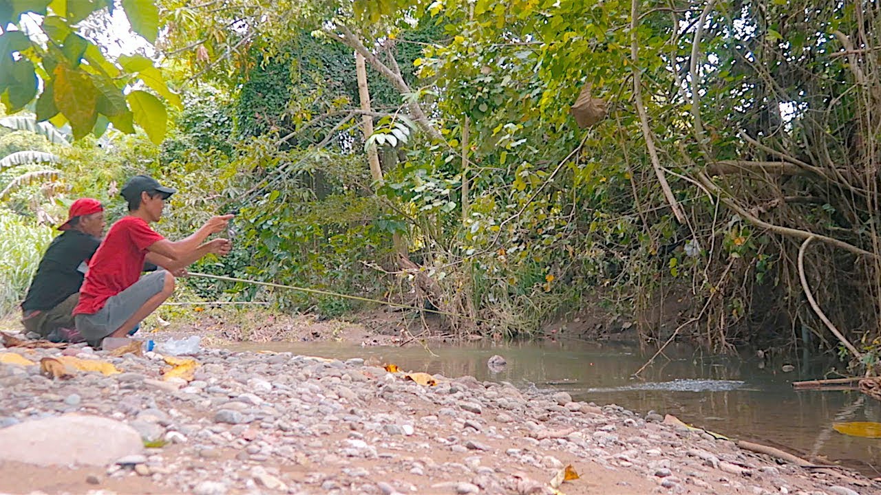 Lubang kecil yang ternyata jadi sarang ikan besar