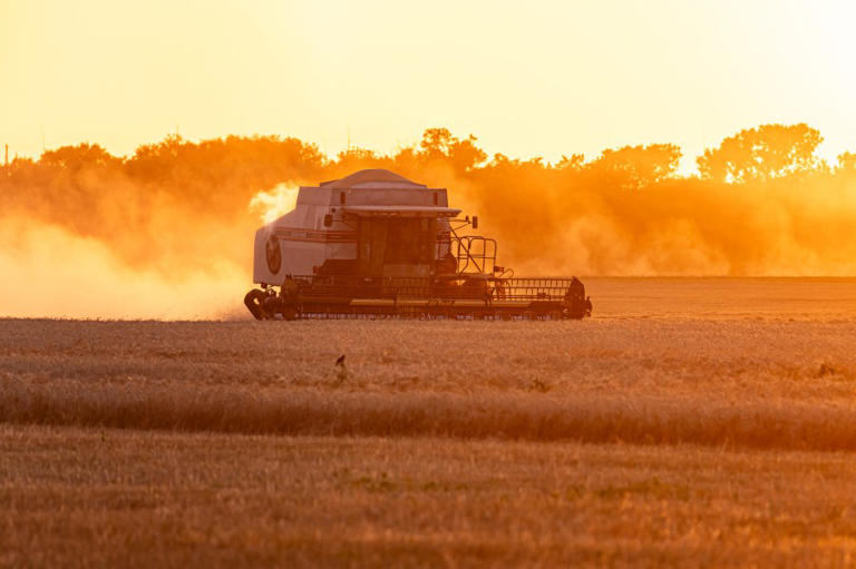 Severe weather sets back Kansas wheat harvest