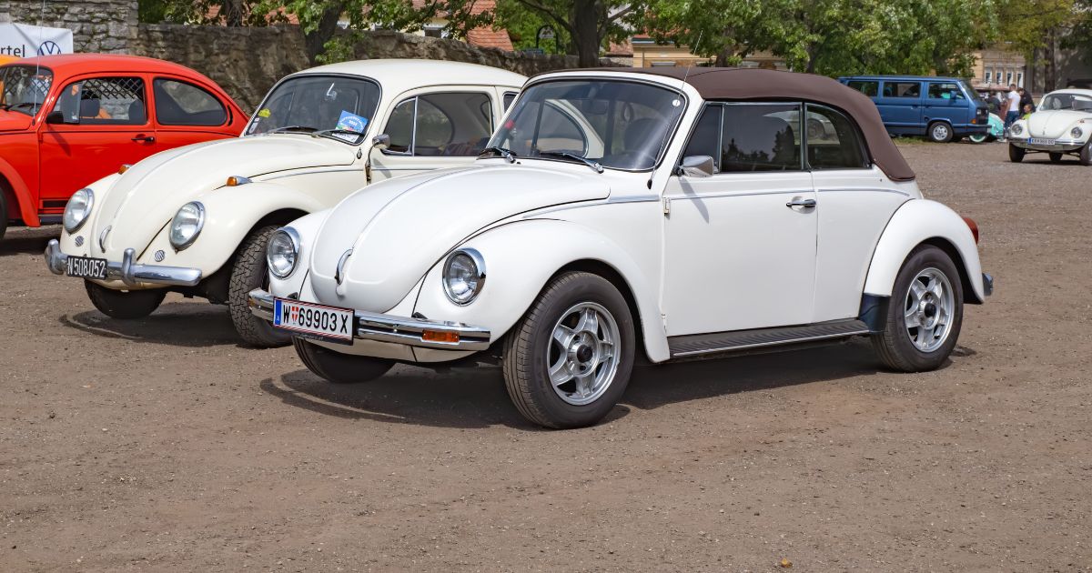 80 à 110 Coccinelles et Combis de Volkswagen s’apprêtent à envahir un ...