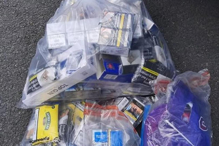 Police and immigration officers raid retail premises in Gwynedd town