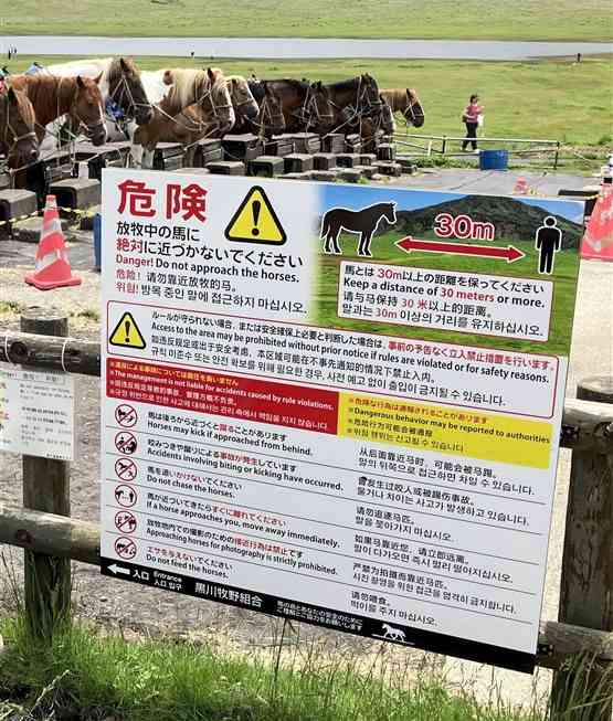 阿蘇・草千里の馬「危険!蹴られます」放牧中「触れ合える」SNS情報は誤り
