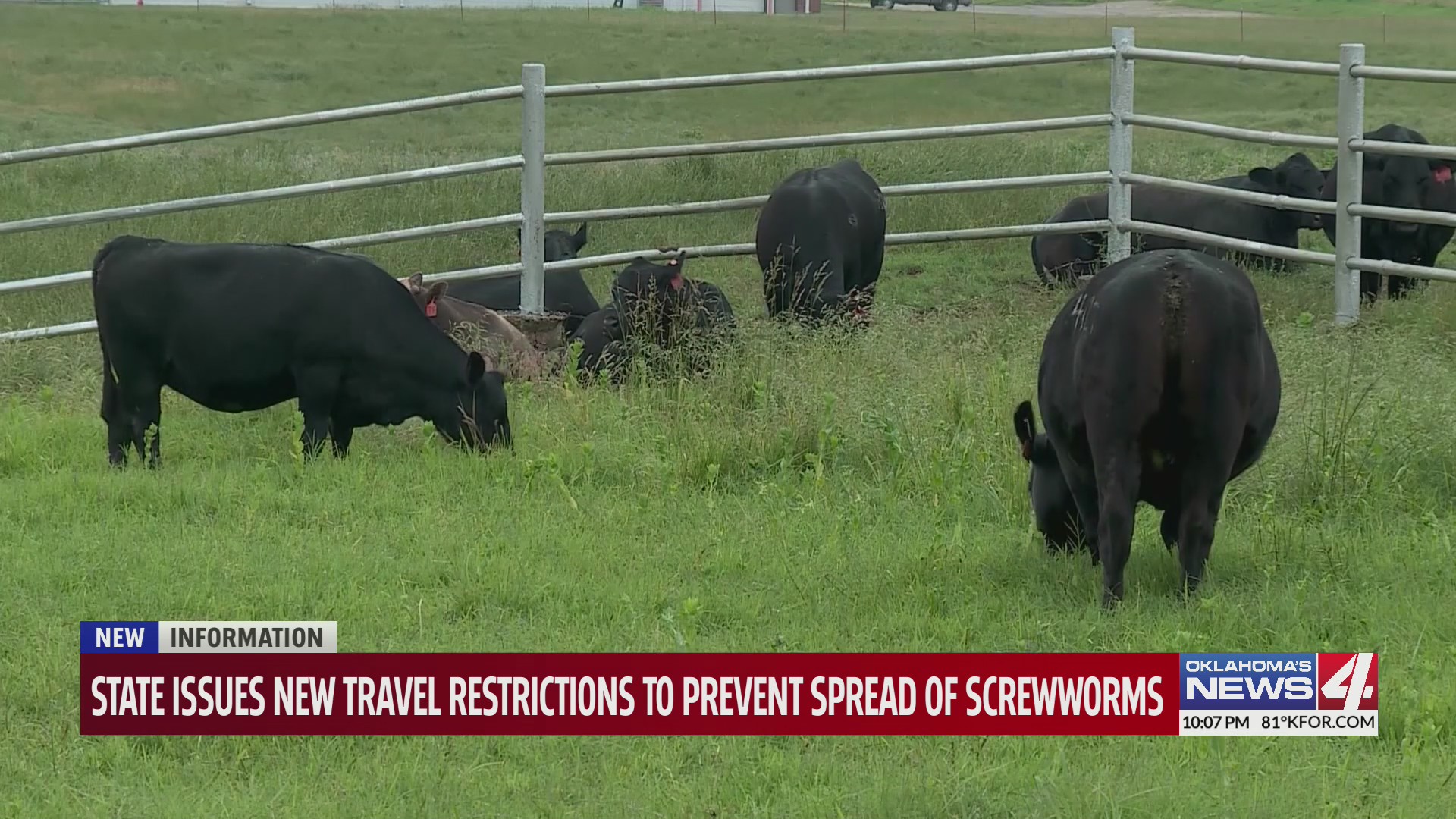 State issues new travel restrictions to prevent spread of screwworms