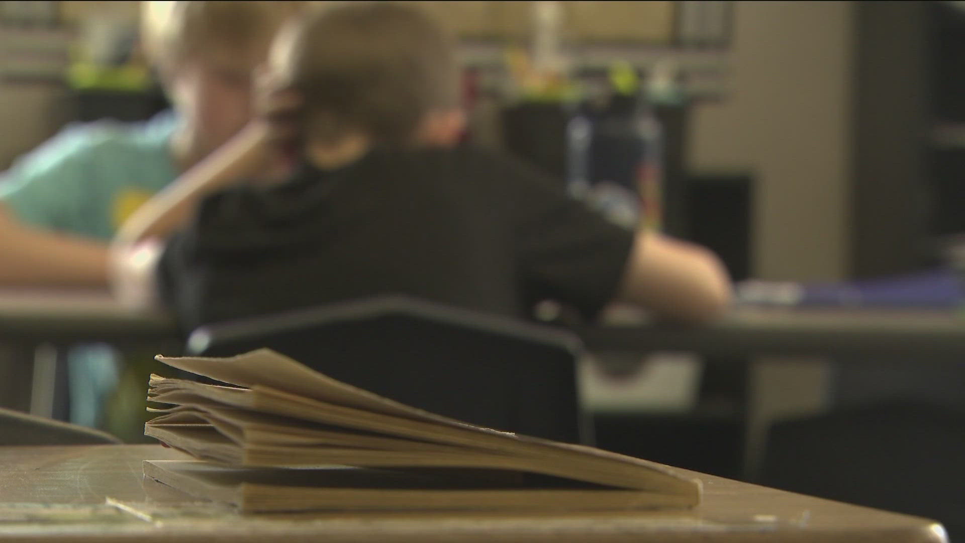 Expert argues seclusion rooms in schools can be fully eliminated with ...