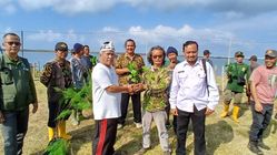 Aksi nyata Jagleuw, sulap pesisir pantai Tasela jadi benteng hijau ...