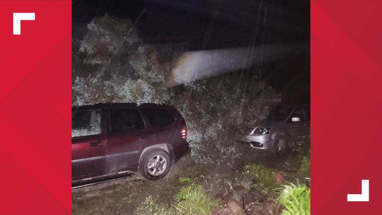 Thousands without power after storms down trees and power lines ...