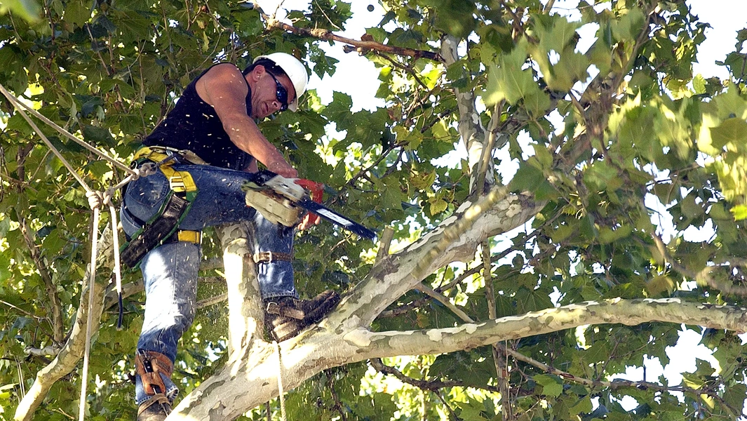 15 surprisingly rewarding careers