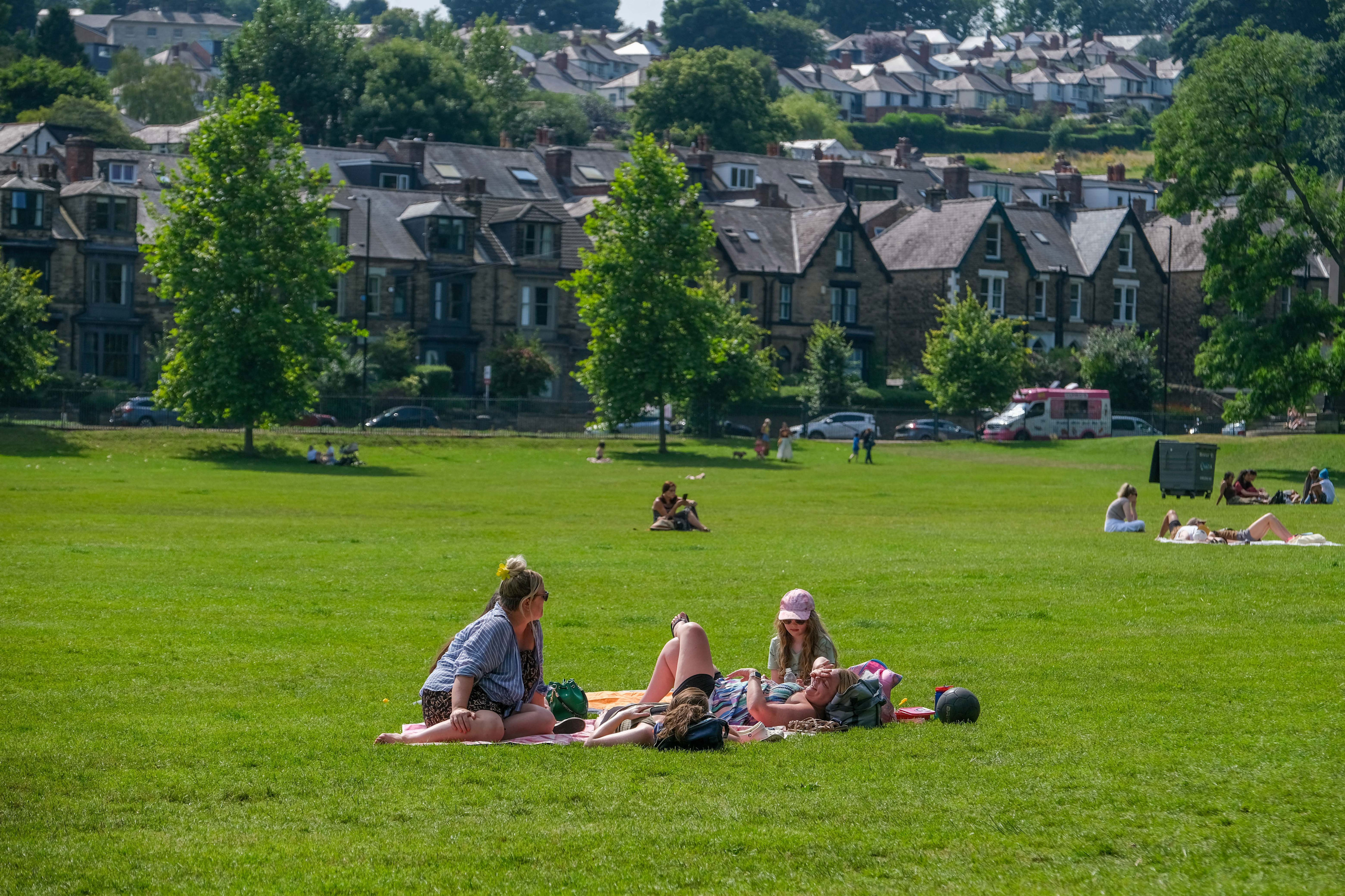 Sections of popular Sheffield park to be fenced off for 'ground ...