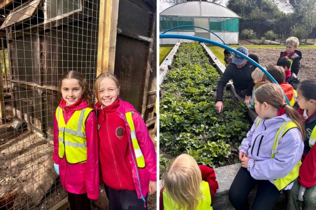 Primary school pupils get hands-on farm experience on eco trip