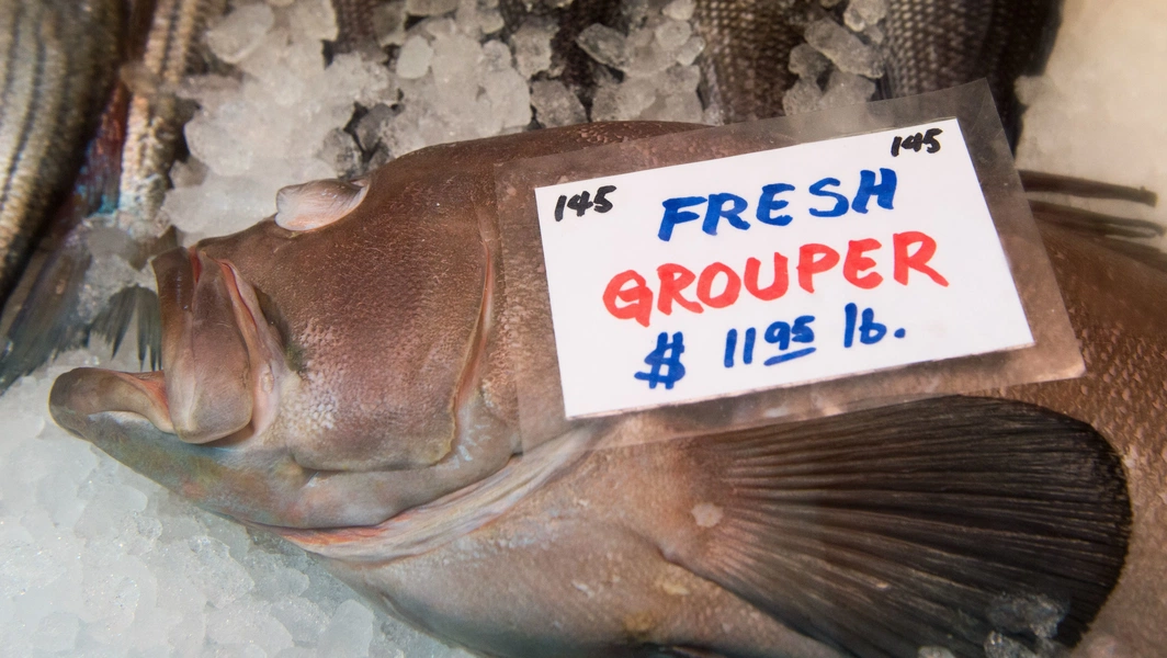 6 fried fish favorites across the United States