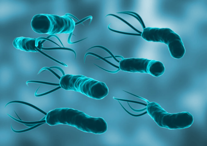Bacteria-sized robots swim, sense, and compute for months