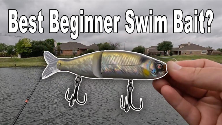 How a beginner glide bait can transform a bass fishing session on the water