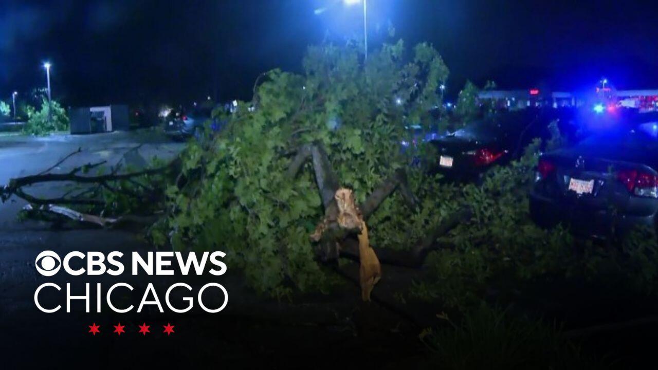 Powerful storm leaves path of destruction in Bartlett