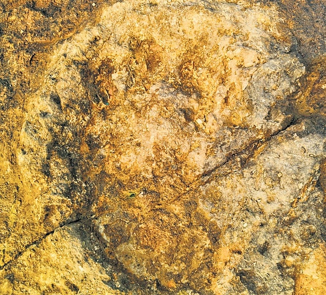 Etched in stone, dino story at risk of fading