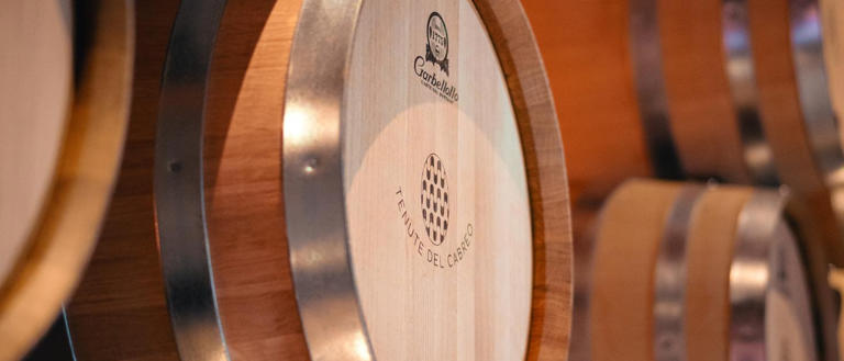 'Wine tasting'. I Supertuscan hanno un regno all’avanguardia