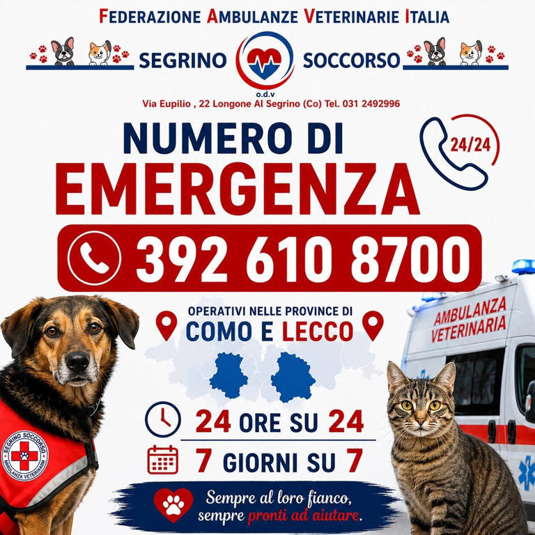 A Ballabio arriva l’ambulanza veterinaria: un servizio gratuito di ...
