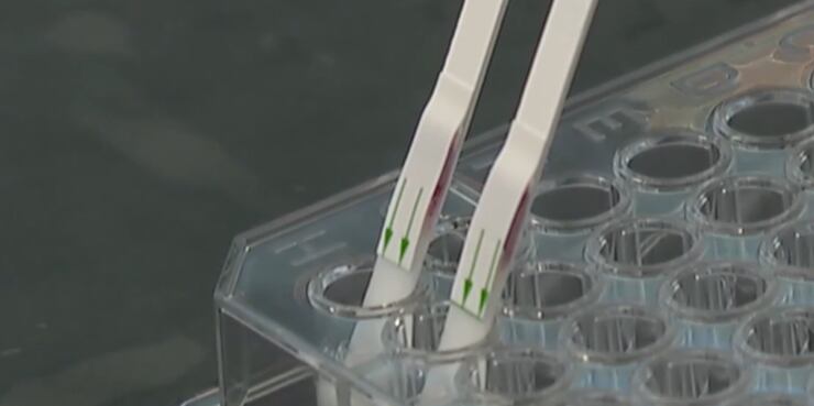 UNR School of Medicine unveils rapid food safety test strips