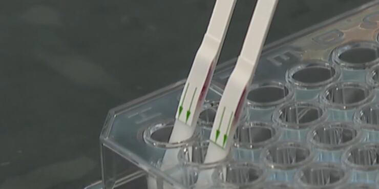 UNR School of Medicine unveils rapid food safety test strips