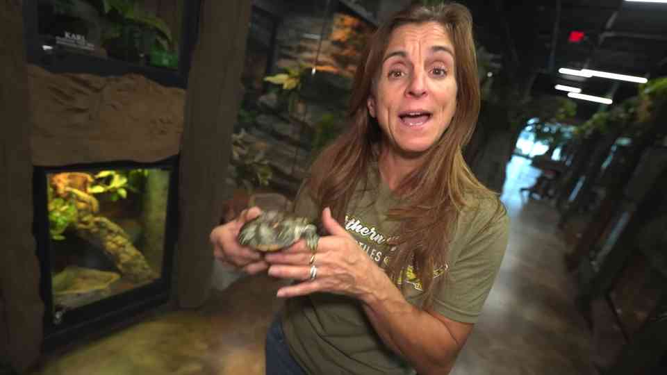 Meet our 150 million-year-old fish
