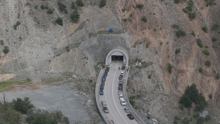 Tünelde üretilen istiridye mantarının ilk hasadı gerçekleştirildi