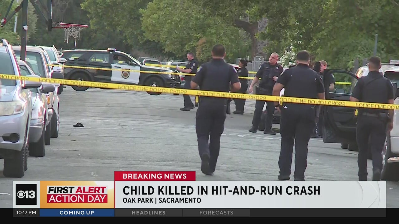 Child killed in Oak Paark hit-and-run