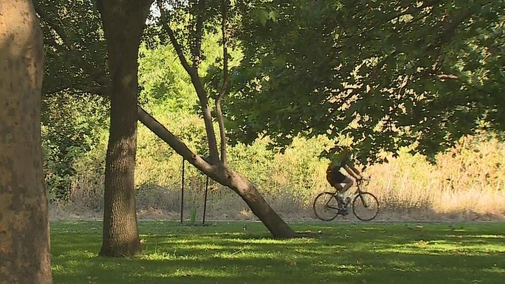 Sacramento park rangers crack down on illegal e-bikes along American ...