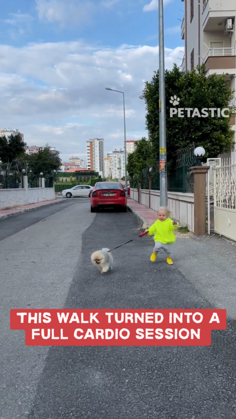 Little one’s funny pup walk adventure