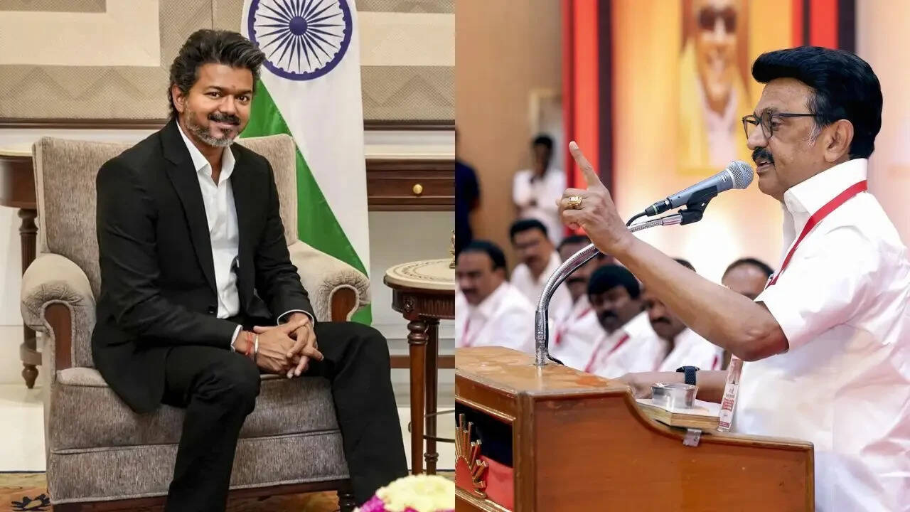 Why DMK lost Tamil Nadu: Internal report blames 'Vijay blind spot ...