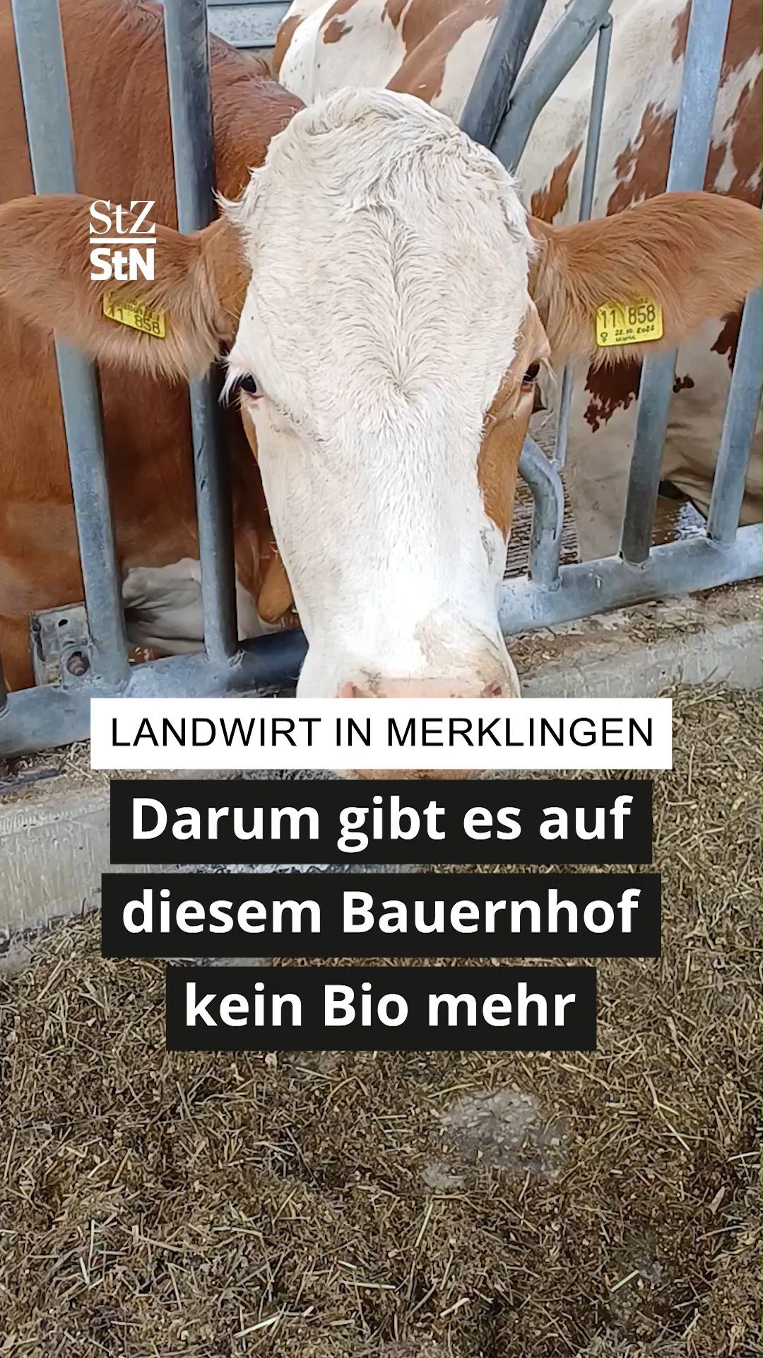 Landwirt in Merklingen - darum gibt es auf diesem Bauernhof kein Bio mehr
