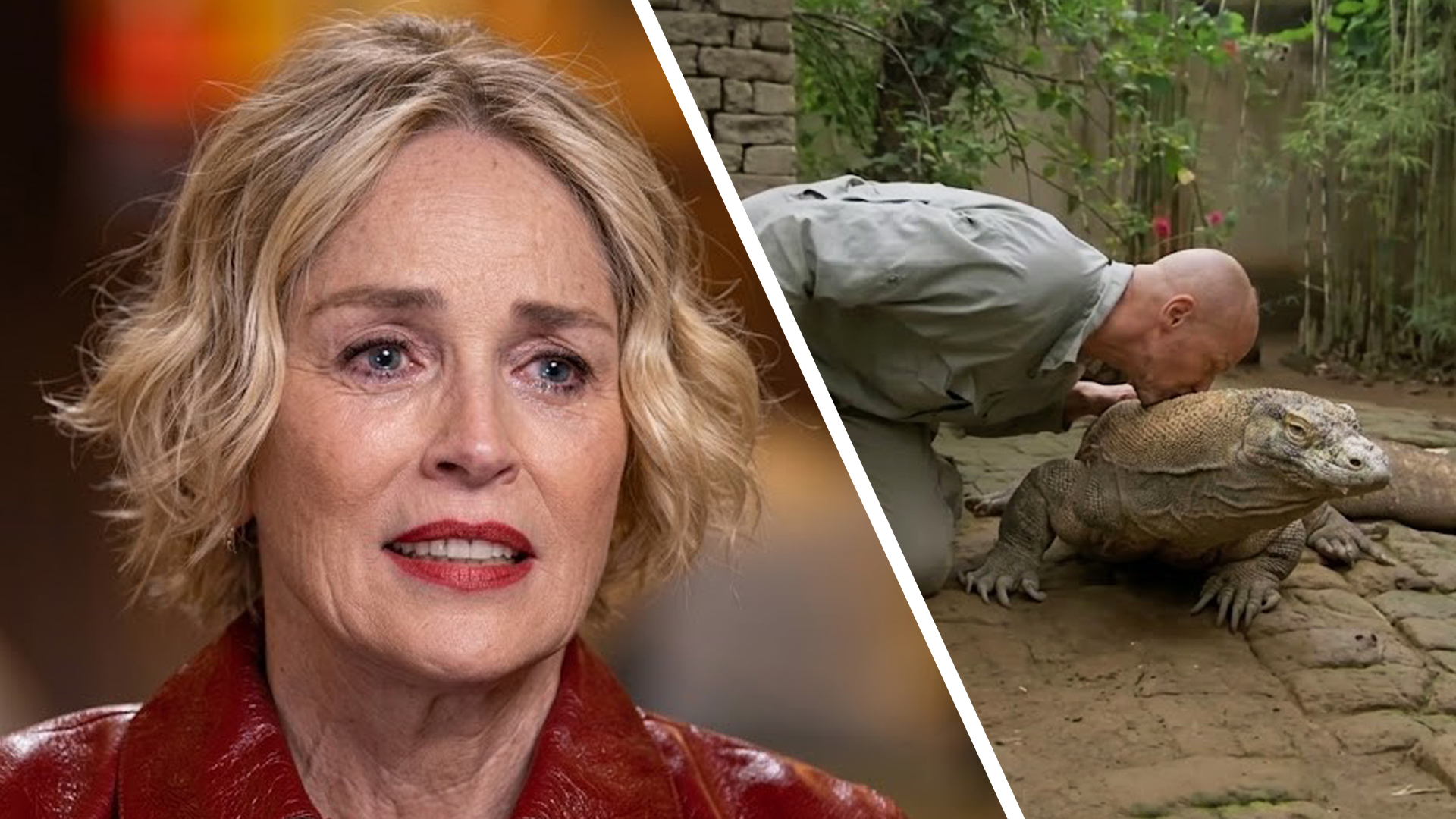Il regalo di Sharon Stone rischiò di farlo uccidere da un drago di Komodo