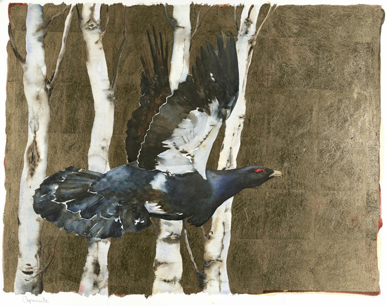 ‘The Book of Birds’ review: All fly away