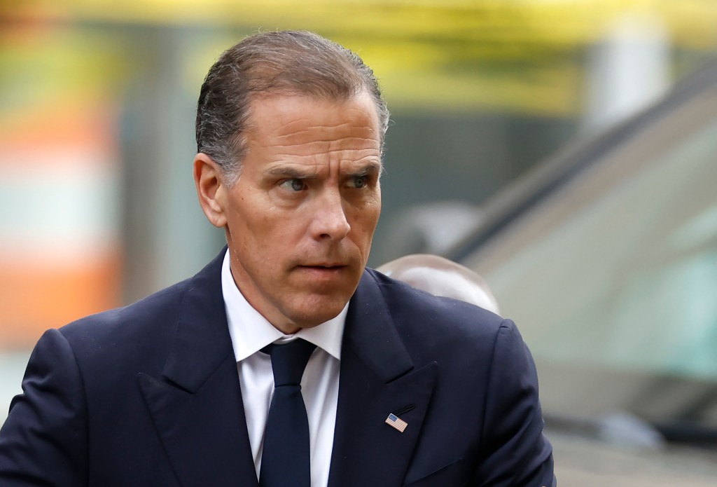 Hunter Biden jokes about being Gavin Newsom's 2028 running mate