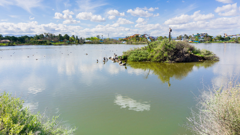 Northern California's largest water park is a giant paradise full of ...